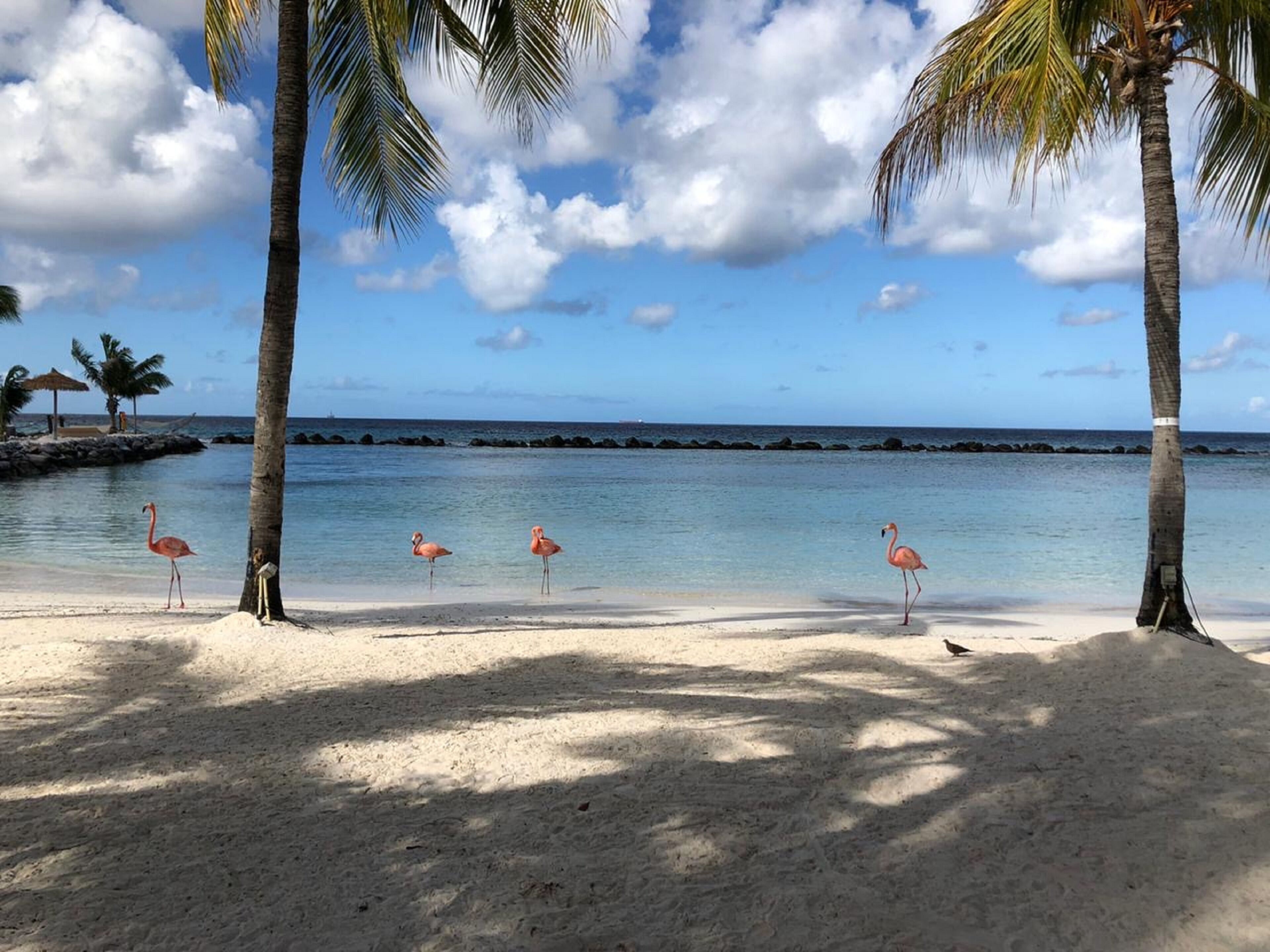 Renaissance Aruba Resort & Casino All-Inclusive Resort